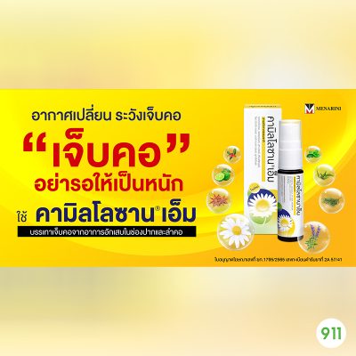 เฟลมเม็กซ์-เอซี โอดี เม็ดฟู่ละลายเสมหะ Flemex-AC OD 600 mg Effervescent ...